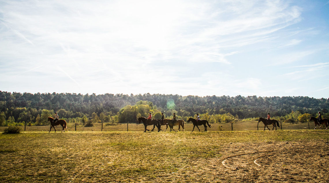 Balade à cheval privative à Fontainebleau – Arbonne Equitation
