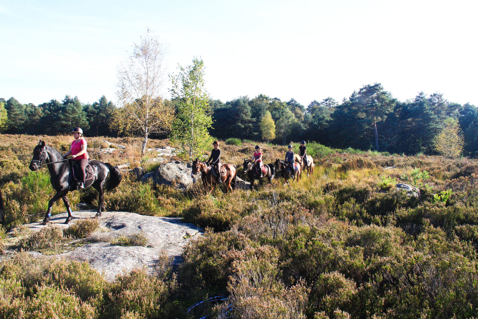 Balade à cheval privative à Fontainebleau – Arbonne Equitation