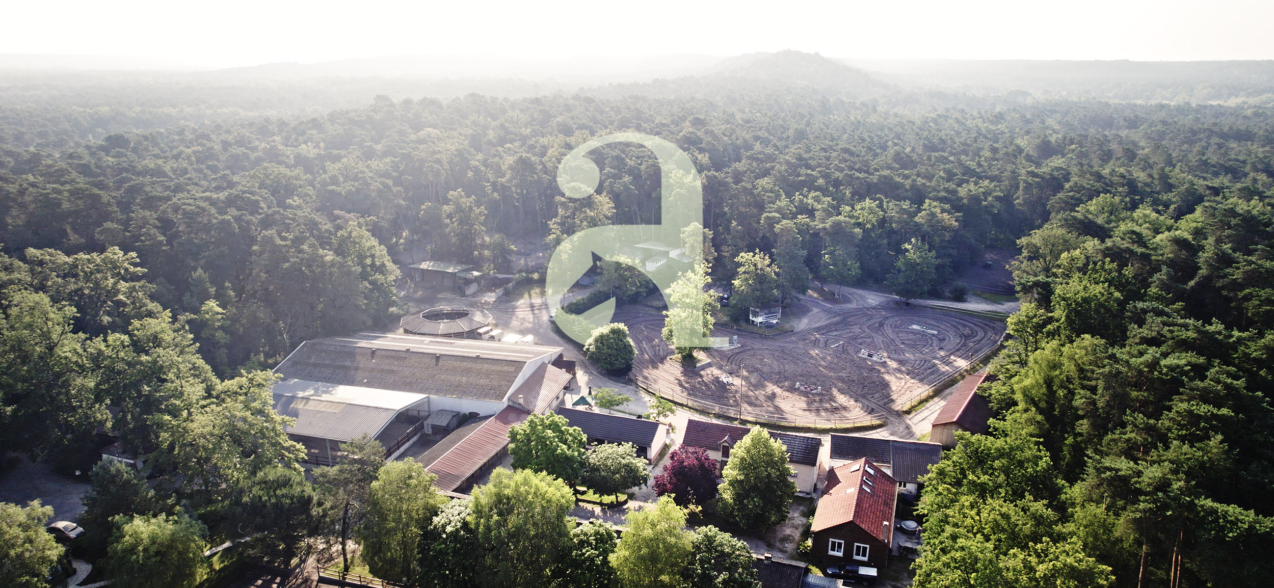 Balade à cheval privative à Fontainebleau – Arbonne Equitation